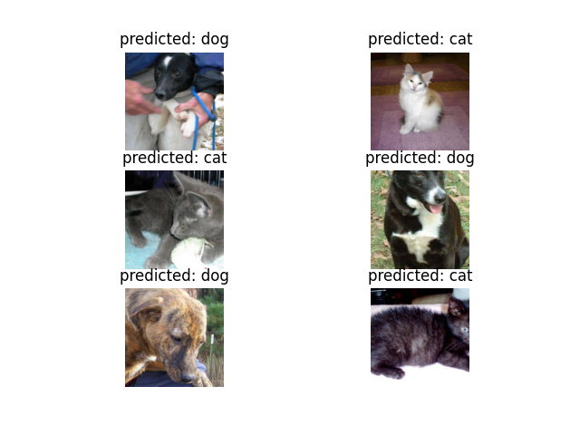 Transfer Learning Using Pytorch Transfer Learning Using Pytorch